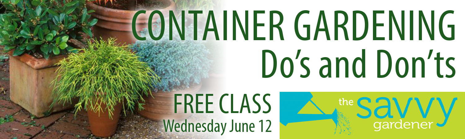 Free Savvy Gardener Class – Container Gardening | North City Water District