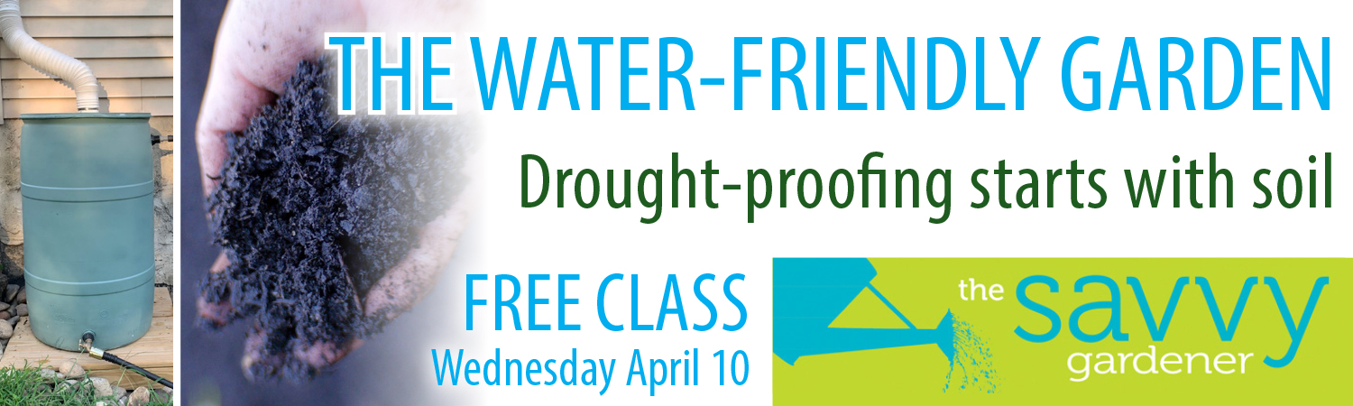 Free Savvy Gardener Class – The Water-Friendly Garden | North City ...