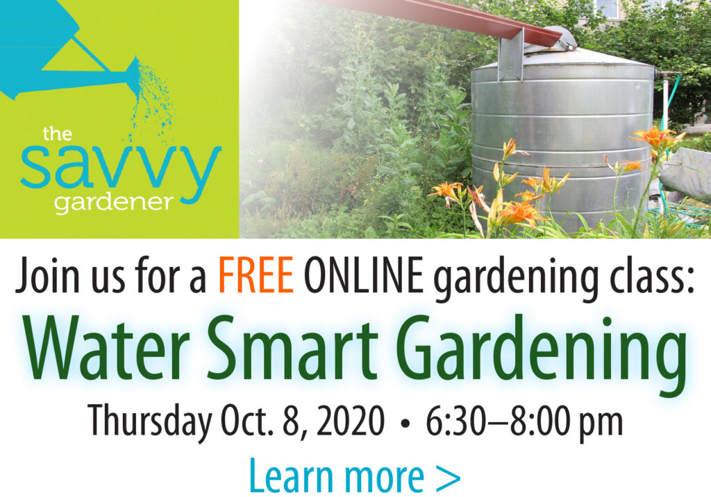Water Smart Gardening Oct 2020 | North City Water District